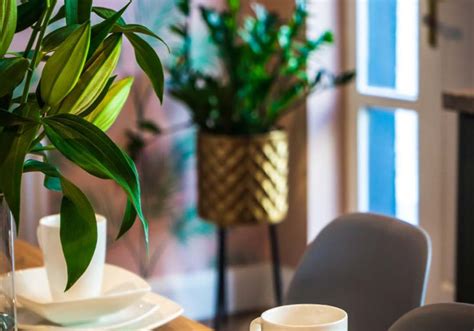 Finn Mccools Clarence Property