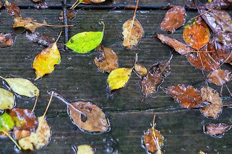 성공회 남양주교회 아침기도 자비로우신 하느님 이 어려운 시기를 지내는 저희를 기억하여