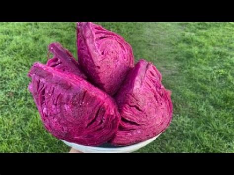 Капуста квашеная «Пелюстка» в бочке на зиму веган рецепт - YouTube