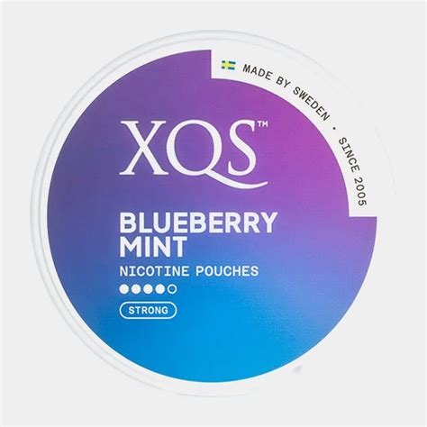 Xqs Blueberry Mint Strong Nicotine Pouches With Flavor