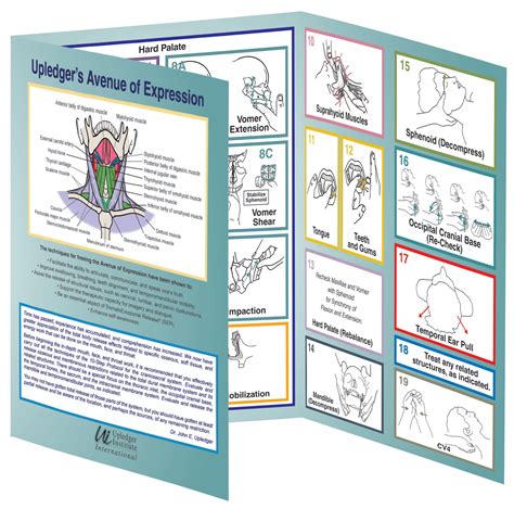 Avenue Of Expression Trifold Reference Chart