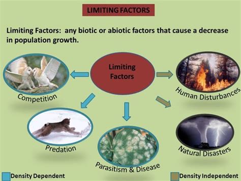 Examples Of Limiting Factor In Biology