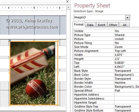 Database First Steps Access 101 Create A Data Entry Form Access Database Data Entry Data