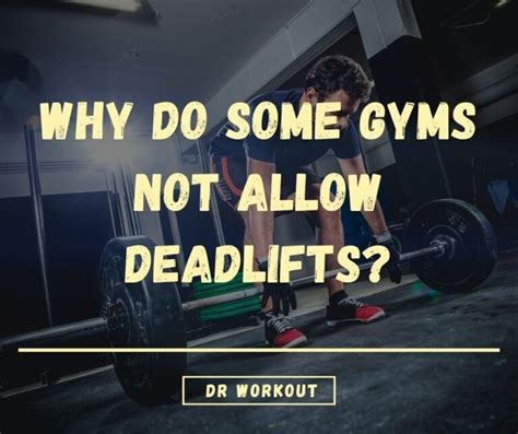 Guide To Macrocycle Mesocycle And Microcycle Detailed Examples For