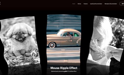 Carousel Performance Questions Threejs Forum
