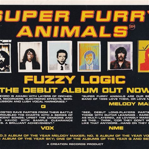 Fuzzy Poster Etsy