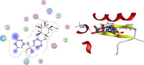 The 2d And 3d Binding Modes Of 3a In The Active Site Of Dna Gyrase