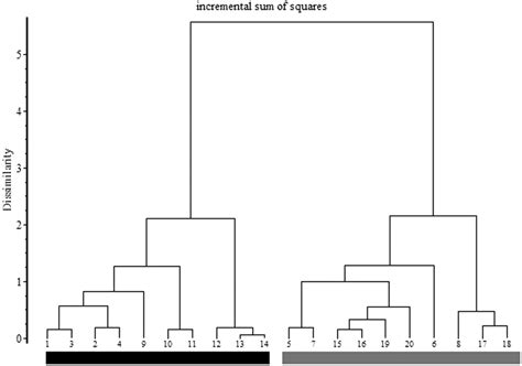 Dendrogram Constructed With Cluster Analysis Increment Sum Of Squares