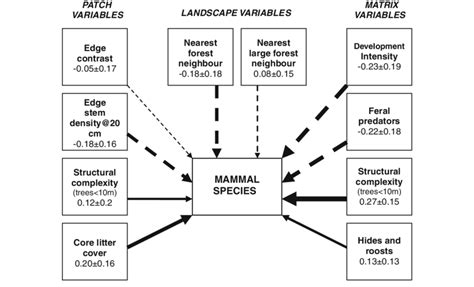 Model Averaged Parameter Estimates And Their Unconditional Standard Download Scientific Diagram