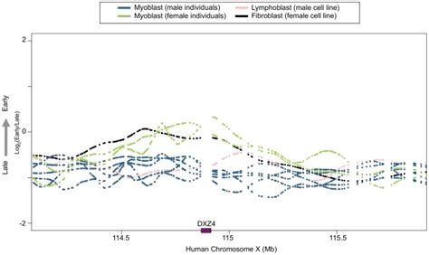 Primary Human Myoblast Replication Timing Profiles Are Shown For 2 Download Scientific Diagram