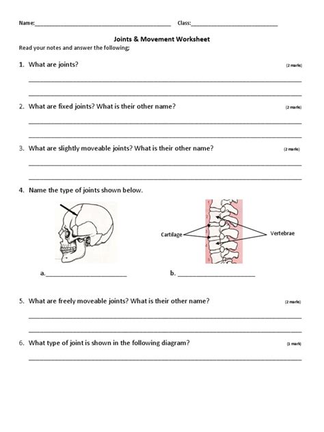 Types Of Joints Worksheet Online Exercise For Live Worksheets Worksheets Library