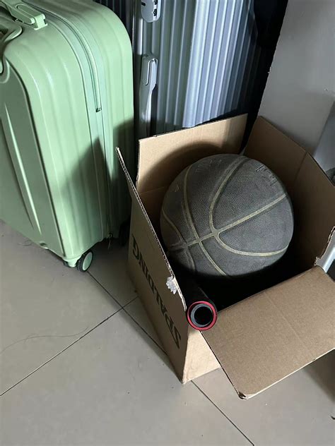 Basketball Model Object Detection Dataset By Yolo