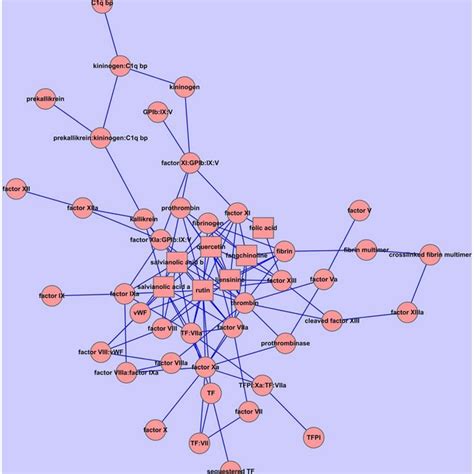 The Drug Target Network Circles Represent The Enzymes In The Clotting Download Scientific