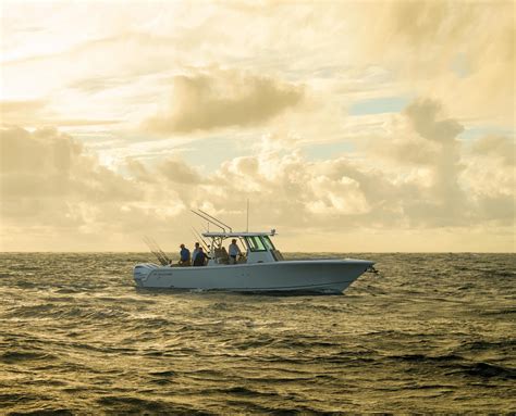 Why Sailfish By Dino Marketing Group Issuu