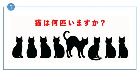 Swellで用意されているボーダー設定＆スタイルのcssクラス一覧