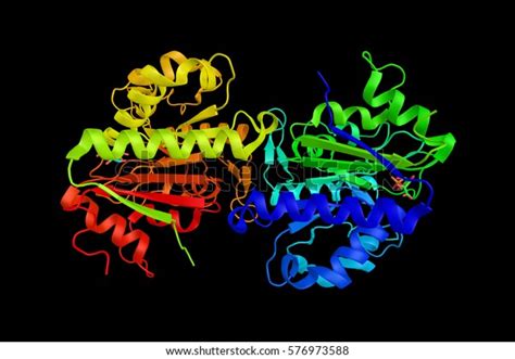 9 Imágenes Fotos De Stock Objetos En 3d Y Vectores Sobre 6 Phosphogluconate Shutterstock