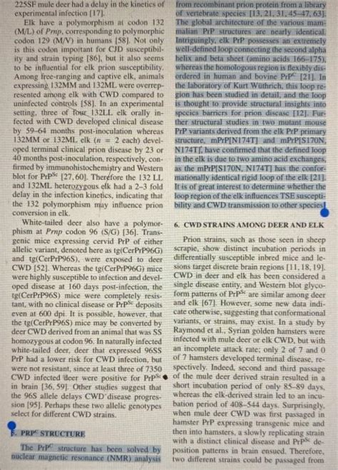 Solved Focus On Section 5 How Was The Structure Of The Prpc