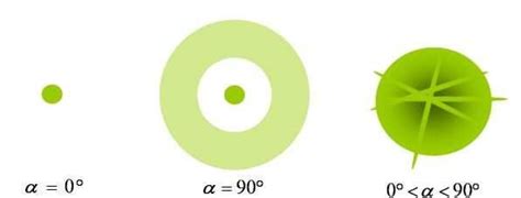 Director Reorientation Process Observed In The Direct Geometry With Download Scientific
