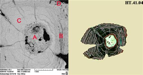 Cross Section And Sem Bse Micrograph Of Sample Ht 41 04 With Analysis
