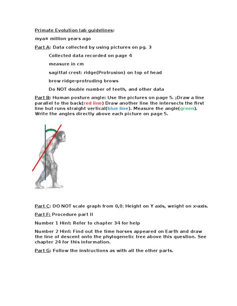 Primate Evolution Lab Guidelins 4 Primate Evolution Lab Guidelines