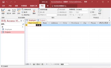 Ms Access添加数据w3cschool