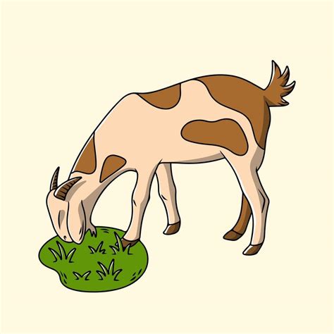 Goats Grazing And Eating Grass In The Field 57928381 Vector Art At Vecteezy