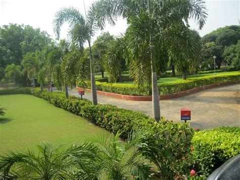 Green Korean Natural Grass 4 Feet At ₹ 18square Feet In Chennai Id 20980544988