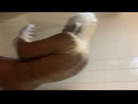 Shower Prank Little Brother He Was Mad Youtube