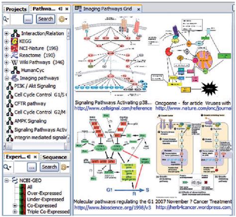 Figure 1 From Bioinformatics Applications Note Data And Text Mining