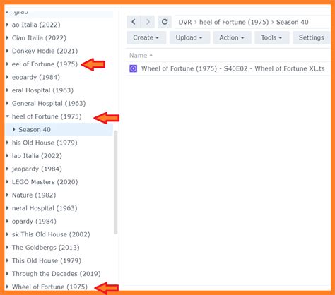 Incorrect Dvr Recording Folder Names Rplex