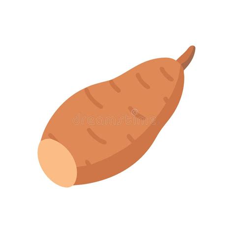 Cassava Graphic Design Illustration Vector Stock Vector Illustration