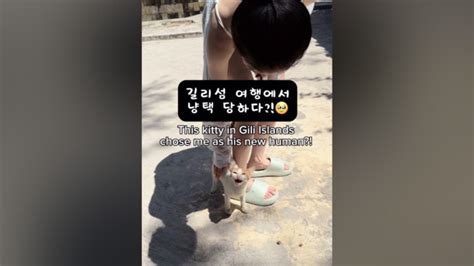 발리여행🇮🇩 길리섬에서 냥택당하다🥹 네이버 Tv