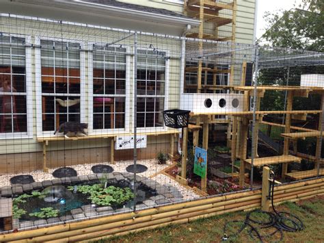 Cat Enclosure Outdoor Cat Enclosure Cat Patio
