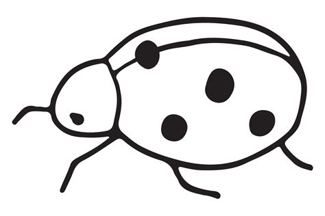 Ladybug Doodle Beetle Sketch Ladybird Graphic By Onyxproj · Creative Fabrica