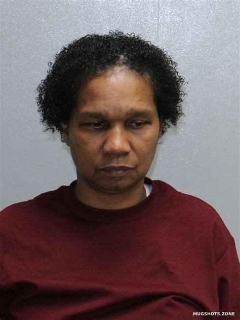 Adams Diann 01072025 Stephenson County Mugshots Zone