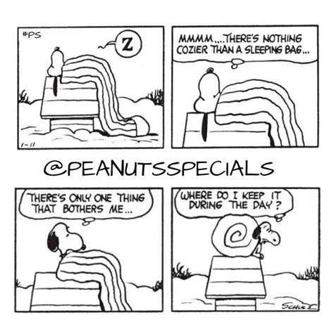 The Comic Strip Shows How Peanuts Are Sleeping