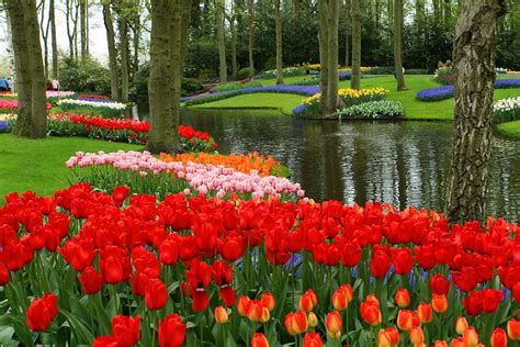 Keukenhof Best Time To Visit 60 Foto