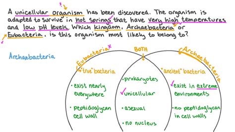 Archaebacteria Vs Eubacteria Venn Diagram