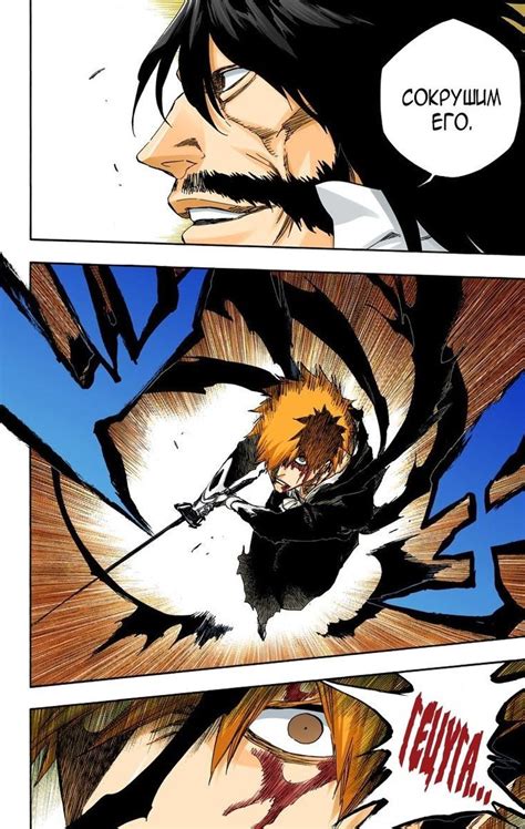 Ichigo Panels