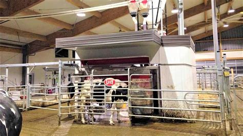 Designing And Building A New Dairy Barn Jakes Welding Inc