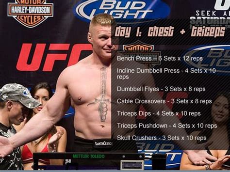 Professional Fighter Brock Lesnar And His Workout Routine Diet