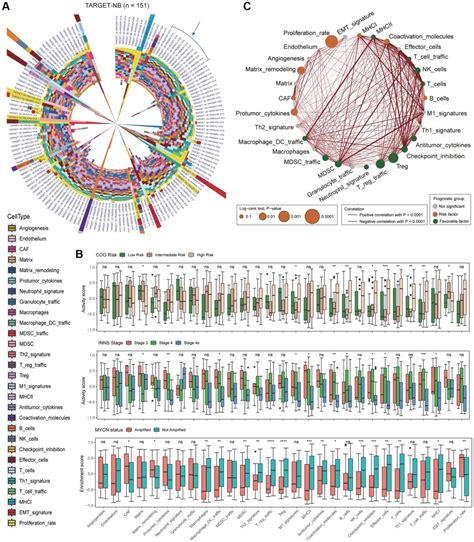 Figure 1 From Immune Microenvironment Heterogeneity Reveals Distinct Subtypes In Neuroblastoma