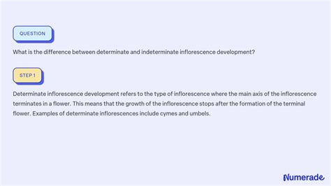 Solvedwhat Is The Difference Between Determinate And Indeterminate