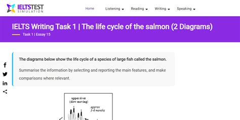 Ielts Writing Task 1 The Life Cycle Of The Salmon 2 Diagrams