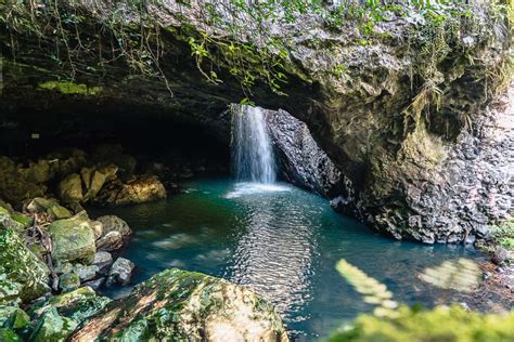 5 Must Visit Springbrook Falls The Ultimate Guide