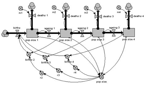 Age Class Model Of Population Dynamics One Compartment Per Age Class