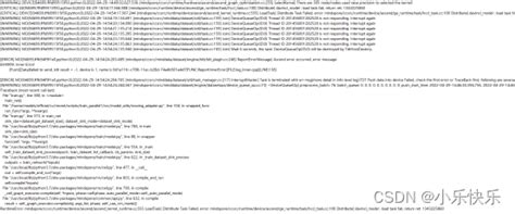 Mindspore，resnet双卡训练报错