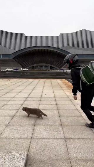 Клипы Септемба