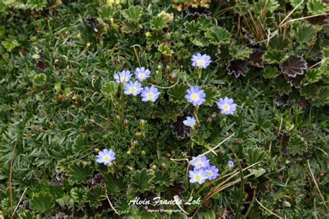 Páramo Biodiversity Singapore