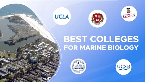Best Colleges For Marine Biology Marine Biology Colleges